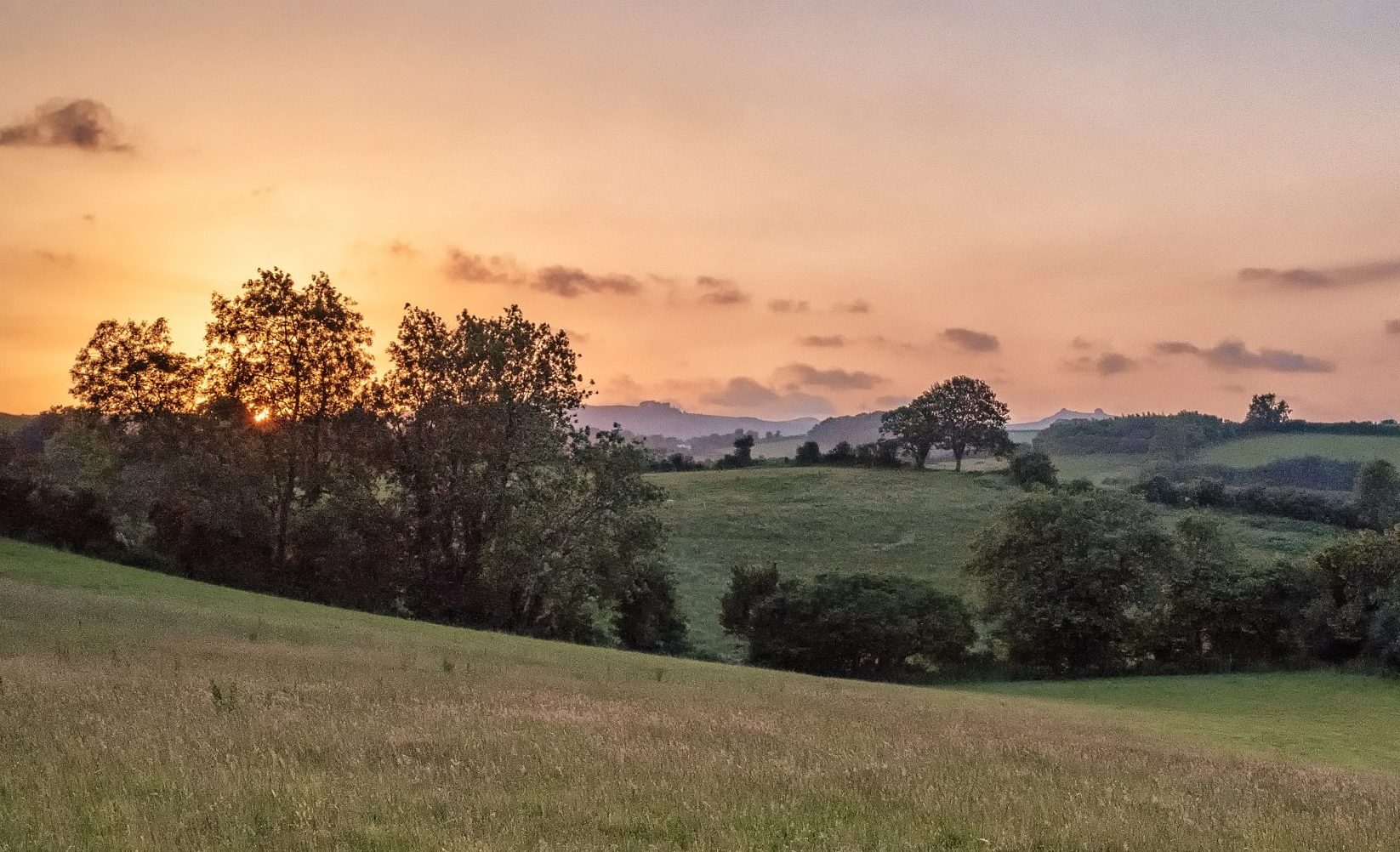 Church of God in Christ, Mennonite (Holdeman) Resources - Berean Holiness